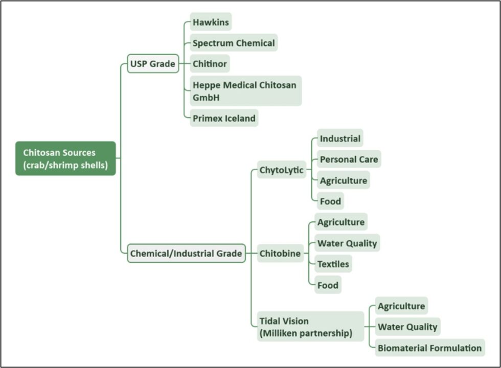 Chitosan: A Next-Generation Functional Material - chemquest.com